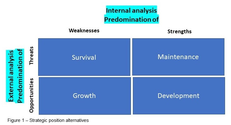 Establishing the Company’s Strategic Position | Professor Annibal