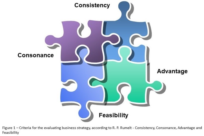 Evaluating business strategy | Professor Annibal