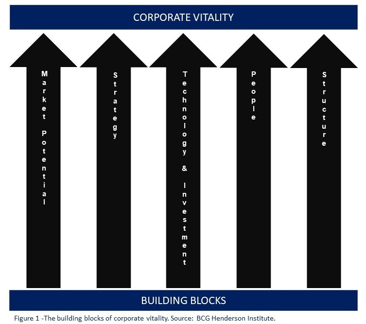 Corporate Vitality: Predicting Business Growth | Professor Annibal
