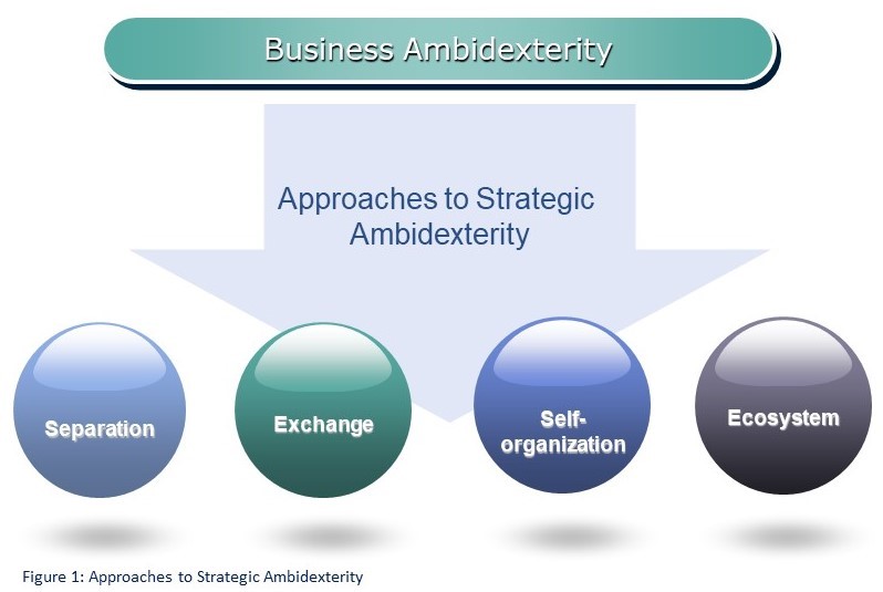 Strategic Ambidexterity for Complex Environments | Professor Annibal